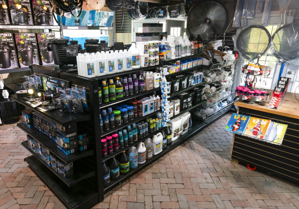 Koi Market | Koi Dealers | Huntington, United States